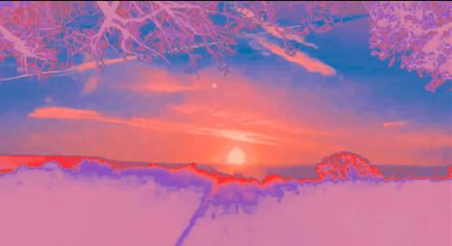 An art video response to Dartmoor: A Radical Landscape - Royal Albert ...